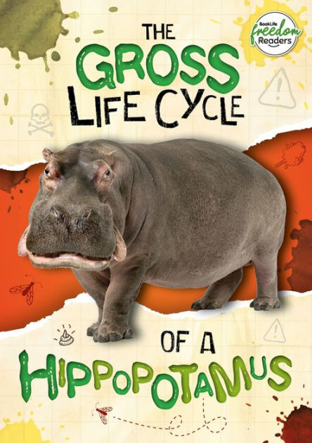 The Gross Life Cycle of a Hippopotamus by William Anthony, Paperback ...