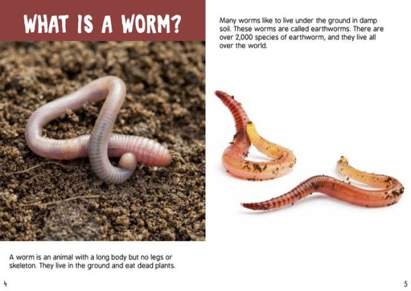 Learning about Worms by Holly Duhig, Paperback | Barnes & Noble®