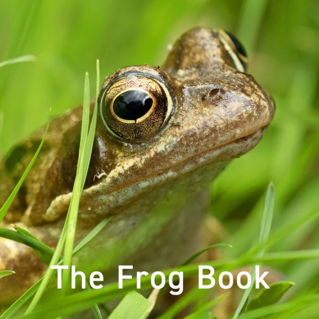 The Frog Book by Jo Byrne, Hardcover | Barnes & Noble®