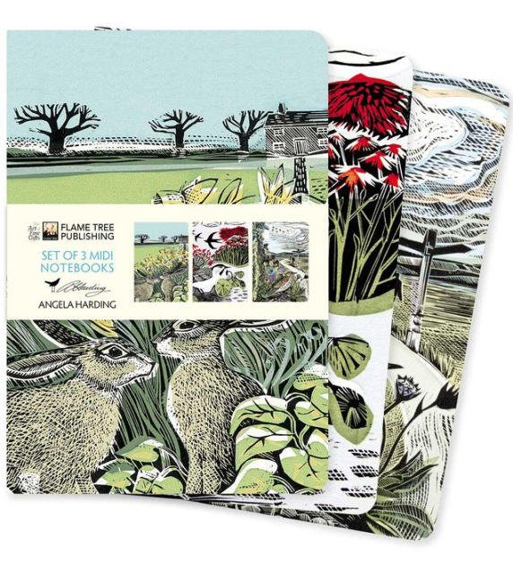 Angela Harding: Landscapes Set of 3 Midi Notebooks by Flame Tree Studio ...