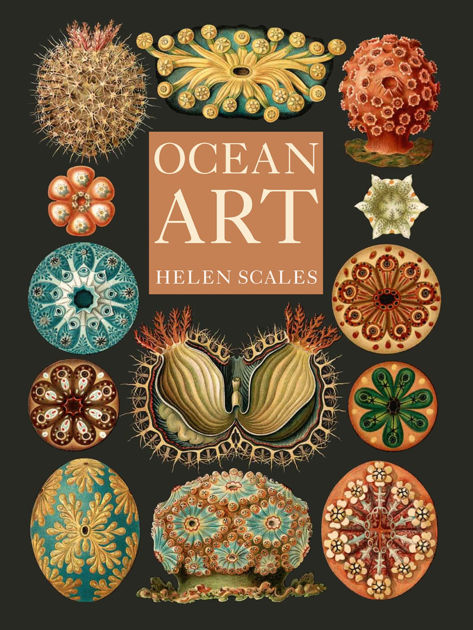 Ocean Art: From the Shore to the Deep by Helen Scales, Hardcover ...