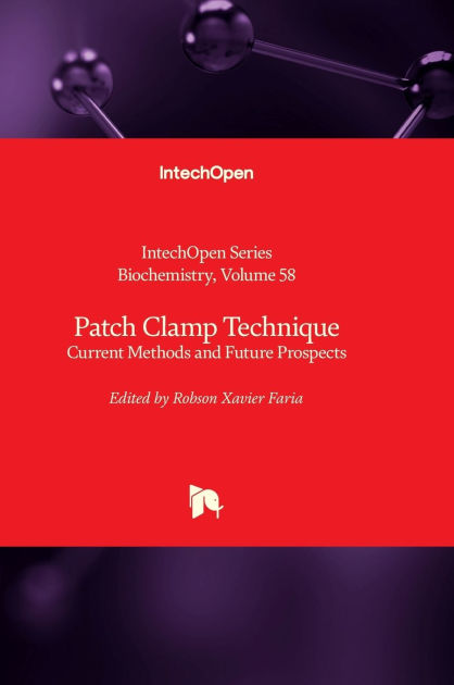 Patch Clamp Technique - Current Methods and Future Prospects by Andrei ...