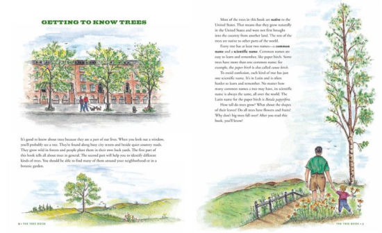 The Tree Book for Kids and Their Grown-Ups by Gina Ingoglia, Hardcover ...