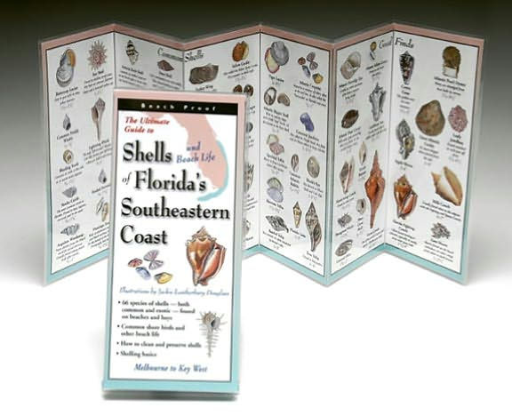 Shells of Florida's Atlantic Coast by J. DOUGLASS, Other Format ...
