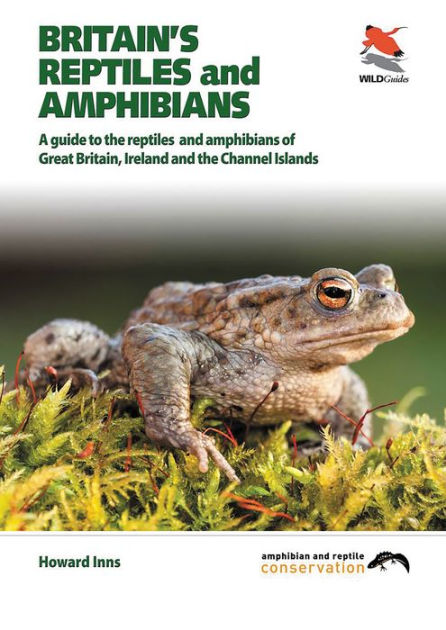 Britain's Reptiles and Amphibians: A guide to the reptiles and ...