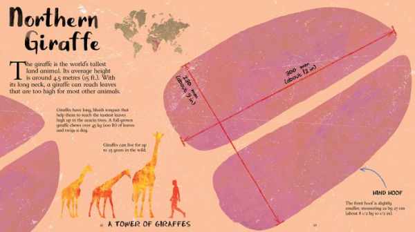 Life-Sized Animal Tracks by John Townsend, Hardcover | Barnes & Noble®