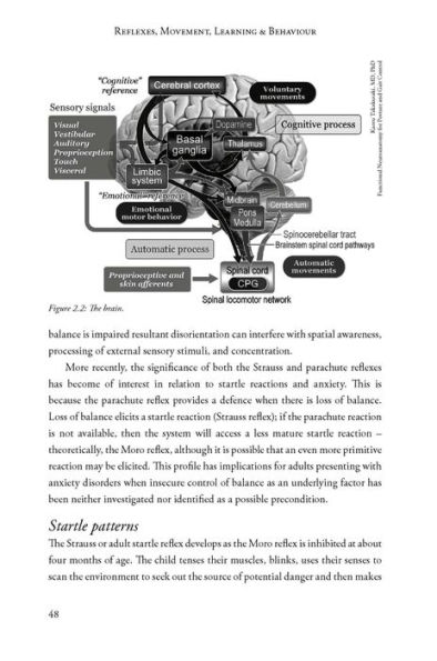 Reflexes, Movement, Learning & Behaviour: Analysing and unblocking ...