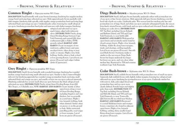 A Naturalist's Guide to the Butterflies of Australia (2nd) by Rachel ...