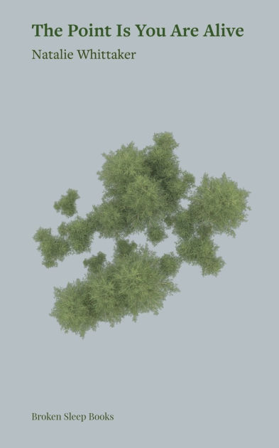 The Point Is You Are Alive by Natalie Whittaker, Paperback | Barnes ...