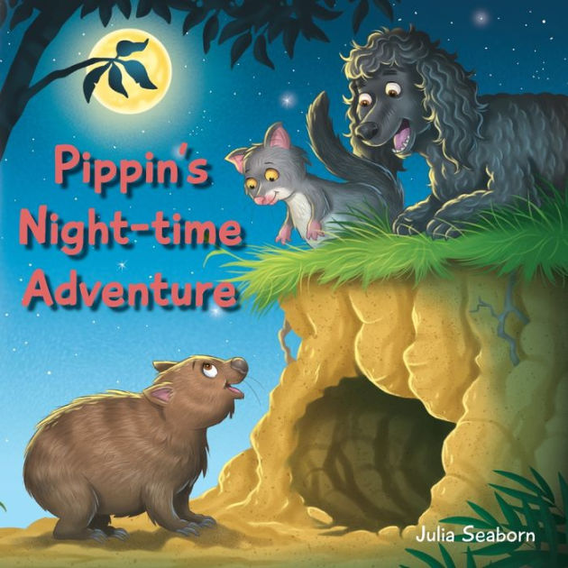 Pippin's Night-time Adventure by Julia Seaborn, Richard Hoit, Paperback ...