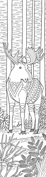 Animals Coloring Bookmarks by Rockpool Publishing, Paperback | Barnes ...