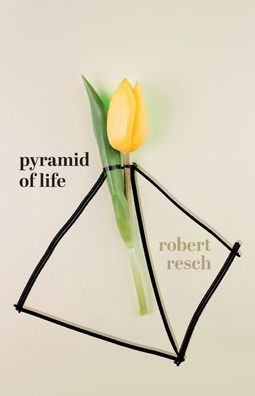 Pyramid of Life by Robert Resch, Paperback | Barnes & Noble®
