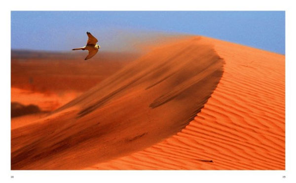 Australian Falcons by Peter Slater, Sally Elmer, Hardcover | Barnes ...