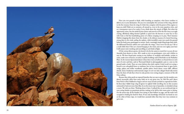 Australian Falcons by Peter Slater, Sally Elmer, Hardcover | Barnes ...