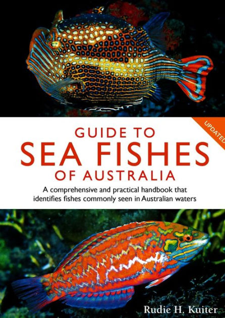 Guide to Sea Fishes of Australia by Rudie H Kuiter, Paperback | Barnes ...