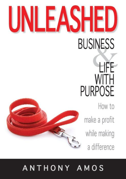 Unleashed: Business and Life with Purpose: How to make a profit while ...