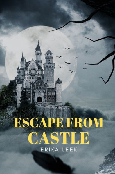 Escape from castle by Erika Leek, Paperback | Barnes & Noble®
