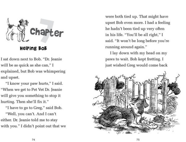 Motorbike Bob by Darrell Odgers, Sally Odgers, Janine Dawson, Paperback | Barnes & Noble®