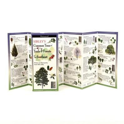 Sibley's Trees of Trails and Forests of the Southeast by David Allen ...