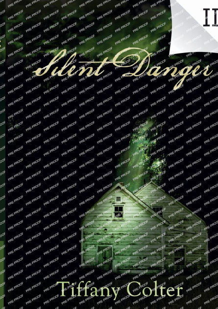Silent Danger by Tiffany Colter, Paperback | Barnes & Noble®