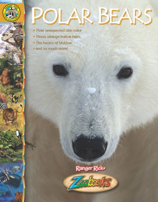 Polar Bears by Ltd. WildLife Education | NOOK Book (NOOK Kids eBook ...