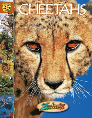 Cheetahs by Ltd. WildLife Education | NOOK Book (NOOK Kids eBook ...