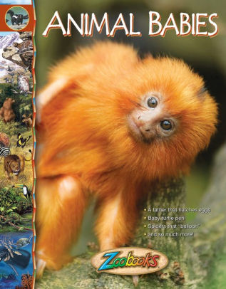 Zoobooks Animal Babies by Ltd. WildLife Education | NOOK Book (NOOK ...