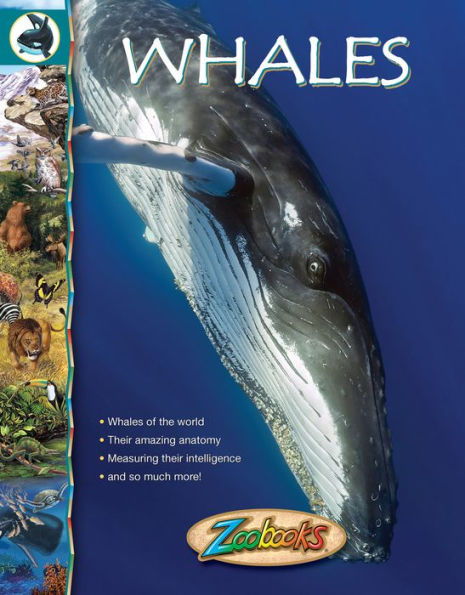 Whales by Ltd. WildLife Education | eBook (NOOK Kids) | Barnes & Noble®