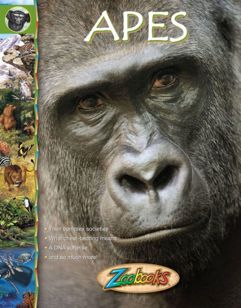 Zoobooks Apes by Ltd. WildLife Education | eBook (NOOK Kids) | Barnes ...