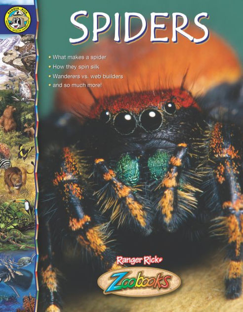 Zoobooks Spiders by Ltd. WildLife Education | eBook (NOOK Kids ...