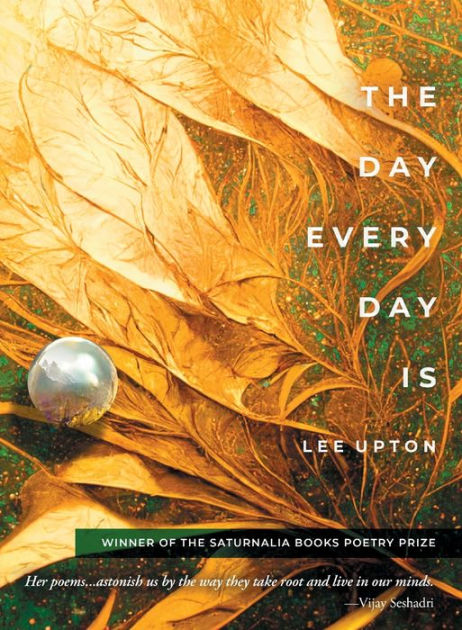 The Day Every Day Is by Lee Upton, Paperback | Barnes & Noble®