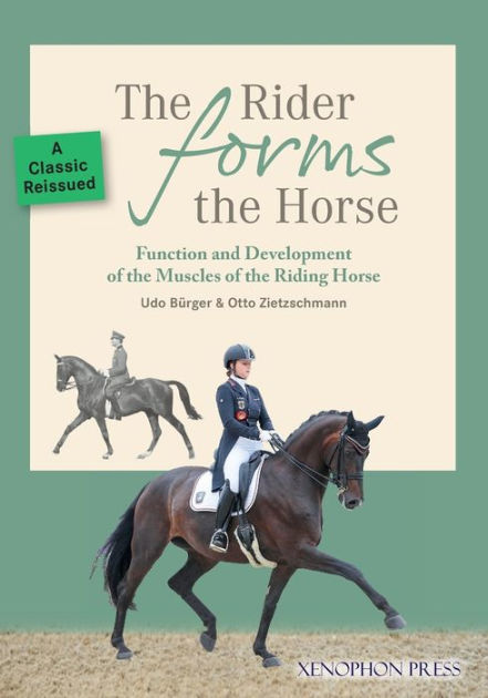 The Rider Forms the Horse: Function and Development of the Muscles of ...