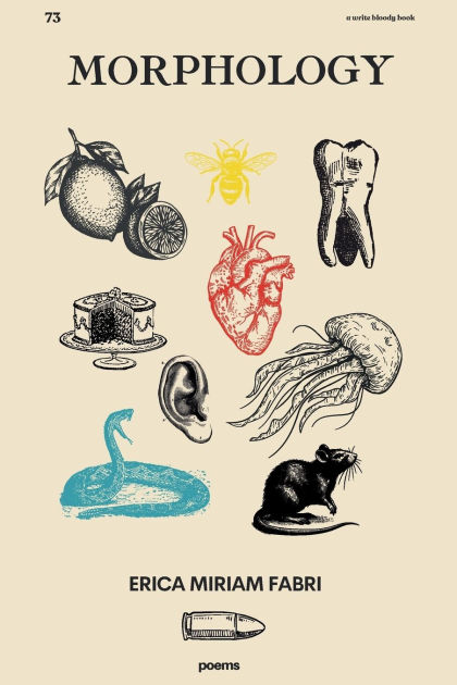 Morphology by Erica Fabri, Paperback | Barnes & Noble®