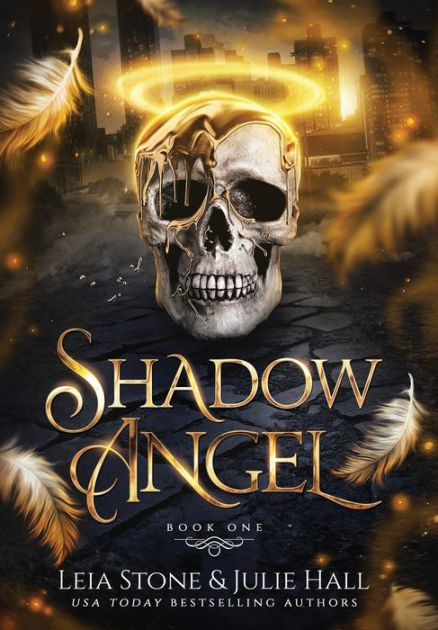 Shadow Angel: Book One by Leia Stone, Julie Hall, Hardcover | Barnes ...