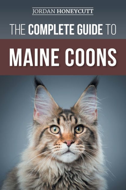 The Complete Guide to Maine Coons: Finding, Preparing for, Feeding ...