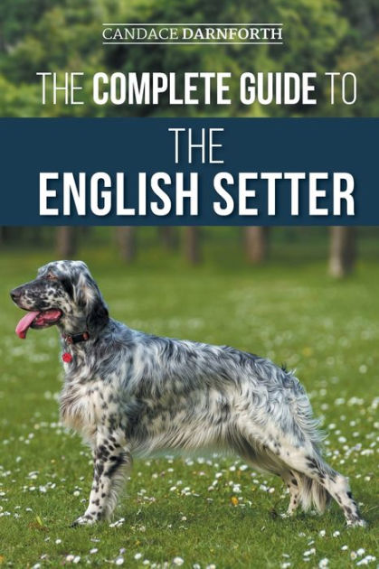 The Complete Guide to the English Setter: Selecting, Training, Field ...