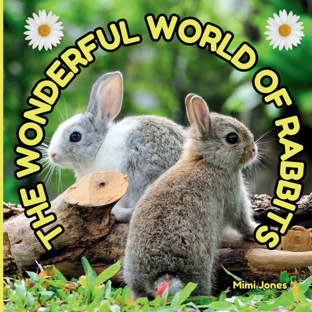 The Wonderful World of Rabbits: Interesting Facts About Rabbits by Mimi ...