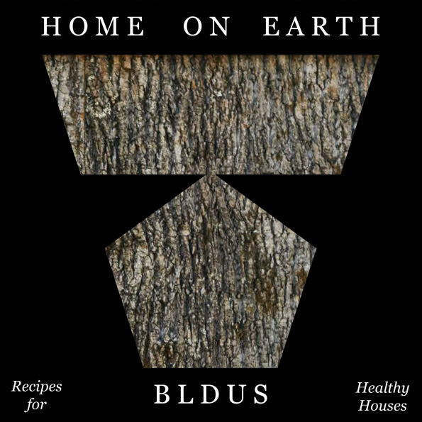 Home on Earth: Recipes for Healthy Housing by BLDUS, Paperback | Barnes ...