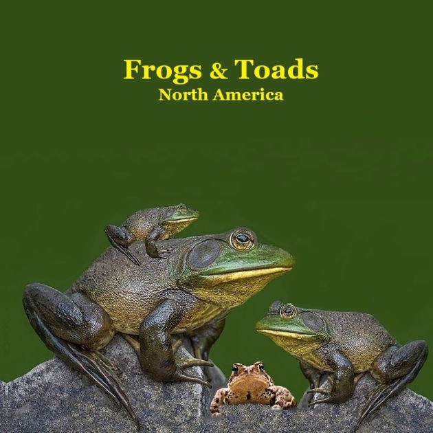 Frogs and Toads of North America Kids Book: Great Children's Book about ...