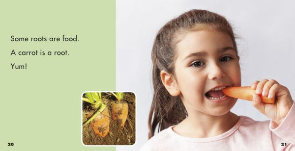 Roots by Marissa Kirkman, Paperback | Barnes & Noble®