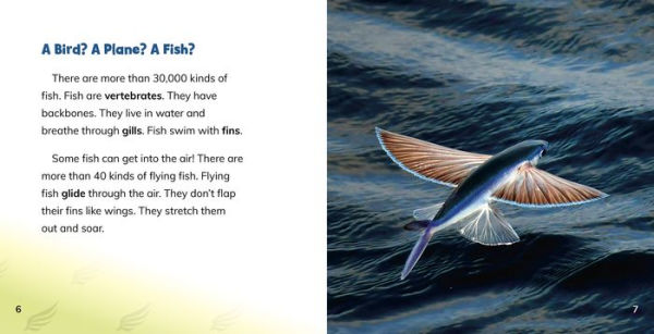 Do Flying Fish Really Fly?: Answering Kids' Questions by Ellen ...