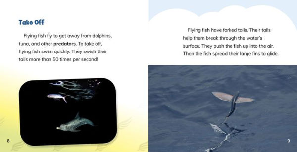 Do Flying Fish Really Fly?: Answering Kids' Questions by Ellen ...