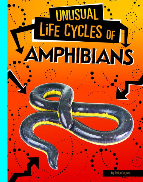 Unusual Life Cycles of Amphibians by Jaclyn Jaycox, Paperback | Barnes ...