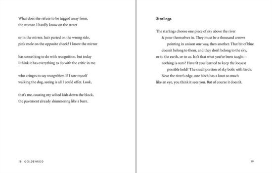 Goldenrod: Poems by Maggie Smith, Hardcover | Barnes & Noble®