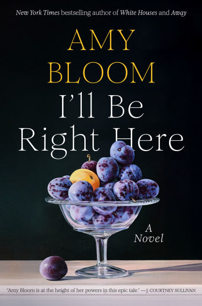 I'll Be Right Here: A Novel by Amy Bloom, Hardcover | Barnes & Noble®