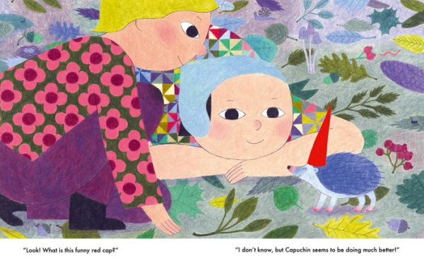 The Magic Cap: A Picture Book by Mirelle Messier, Charlotte Parent ...