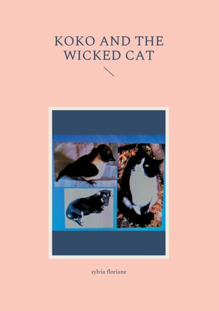 Koko and the wicked cat by Sylvia Floriane, Paperback | Barnes & Noble®