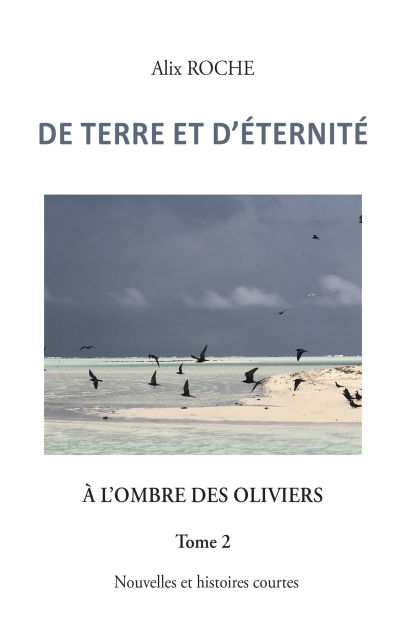 De terre et d'éternité: À l'ombre des oliviers - Tome 2 by Alix Roche ...