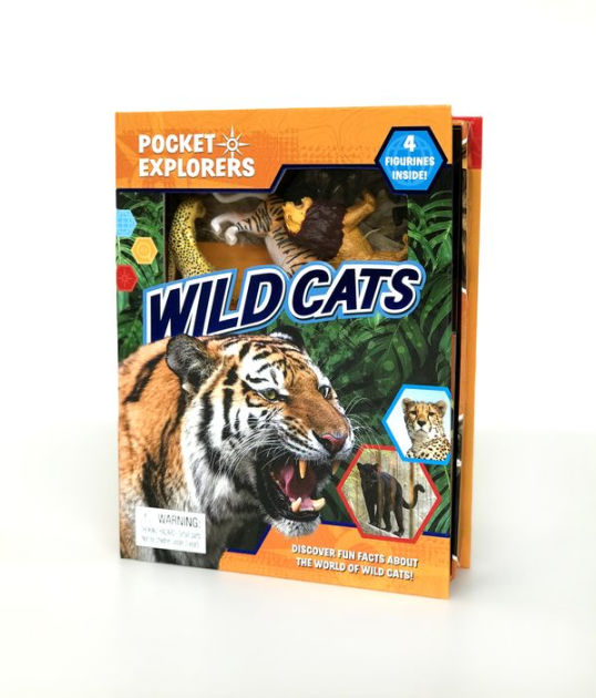Wildcats Pocket Explorers by Phidal, Hardcover | Barnes & Noble®