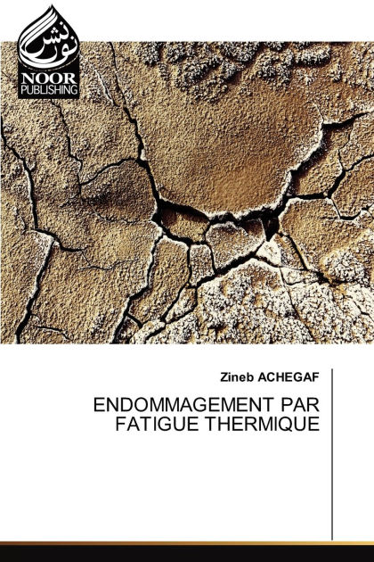 Endommagement Par Fatigue Thermique by Zineb Achegaf, Paperback ...